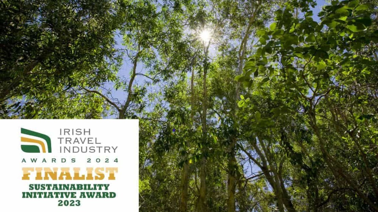 Sustainability | Travel Department