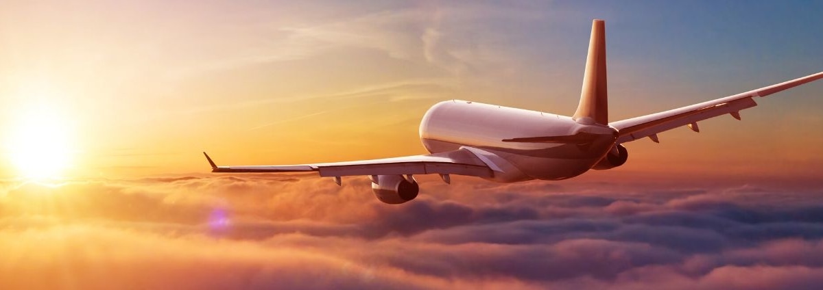 Existing Booking Information | Travel Department