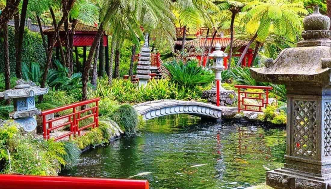 Guided Group Garden Holiday to Madeira